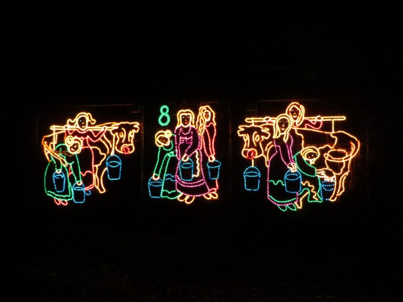 Our favourite Cornish Christmas lights displays
